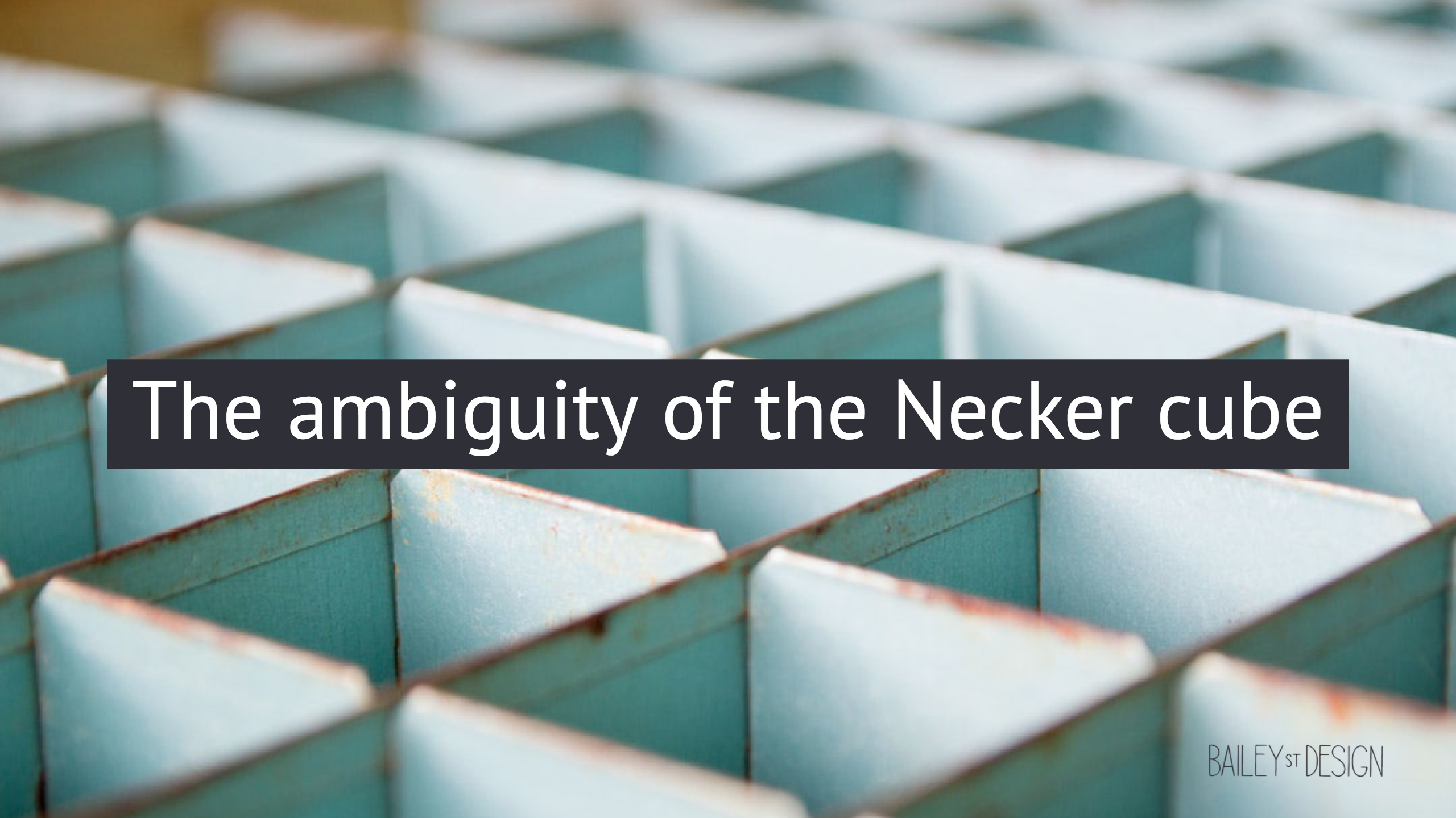 Necker Cube and the Problem of Perception