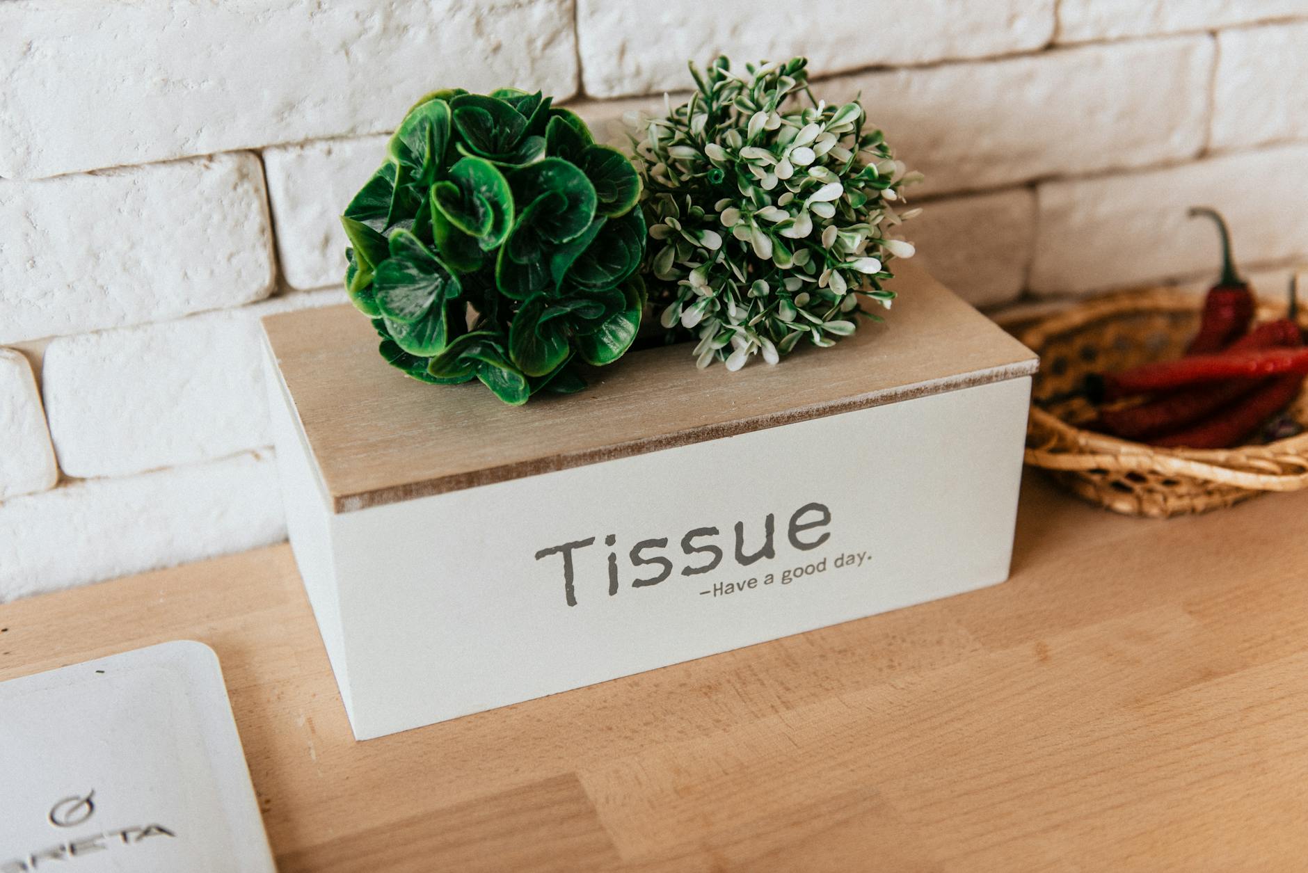 Utility and Aesthetics: A Study of the Tissue Box - Encyclopedia of Design