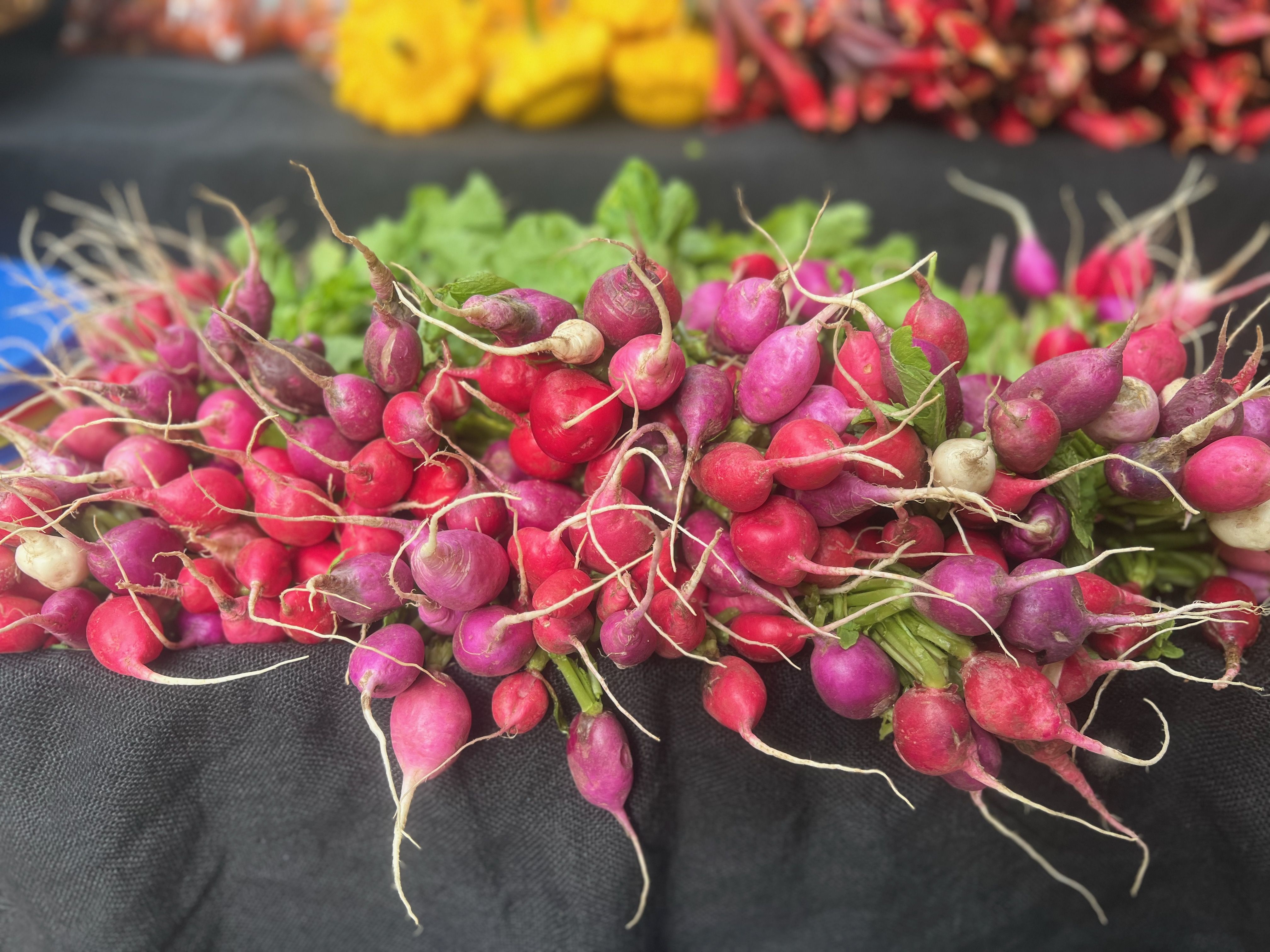 The Radish Motif Meaning in Decorative Arts: A Rooted Symbolism