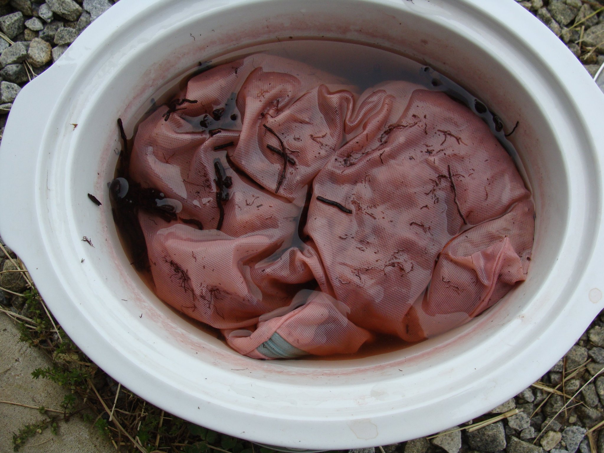 The Art and Science of Mordant: Bridging Colors and Fibers ...