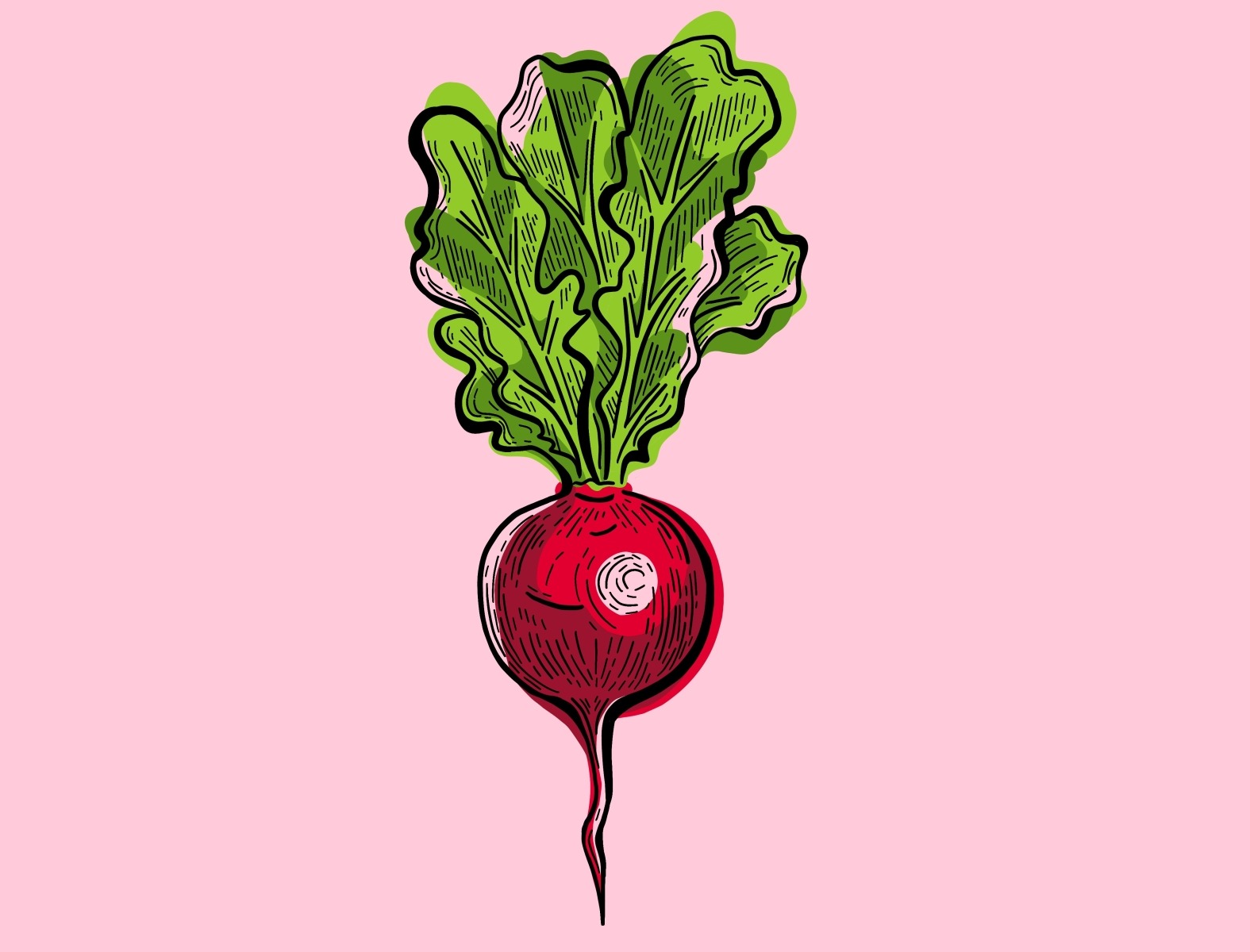 The Radish Motif Meaning in Decorative Arts: A Rooted Symbolism