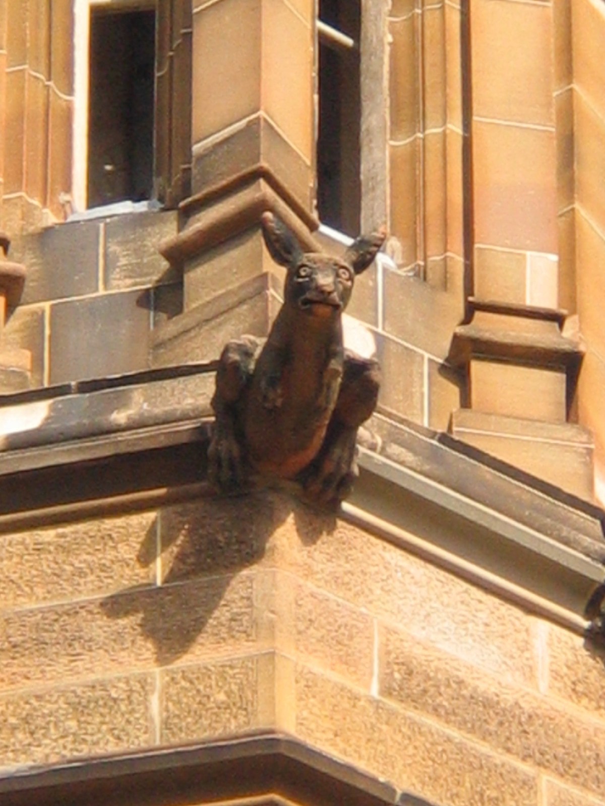 Exploring the Kangaroo Gargoyles at Sydney University