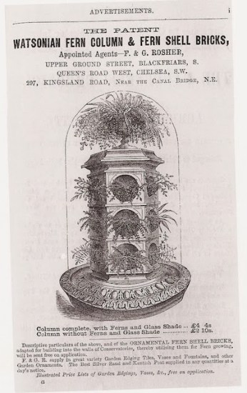 Pteridomania: The Victorian Craze for Collecting Ferns - Encyclopedia ...