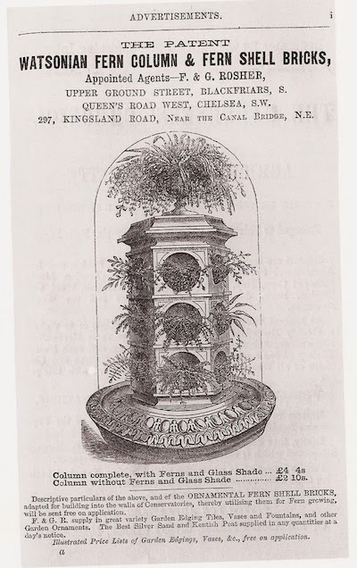 Pteridomania: The Victorian Craze for Collecting Ferns - Encyclopedia ...